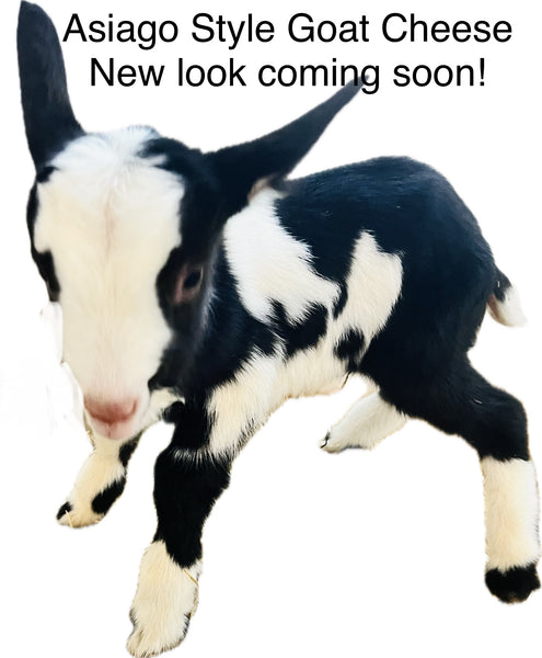 Chef's Pack | 8 Assorted Goat Cheese Flavours | Great Lakes Goat Dairy